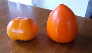 Helen's Asian Kitchen by Helen Chen: I Love Persimmons