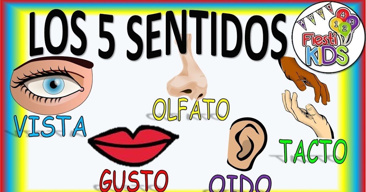 Los sentidos del cuerpo humano.