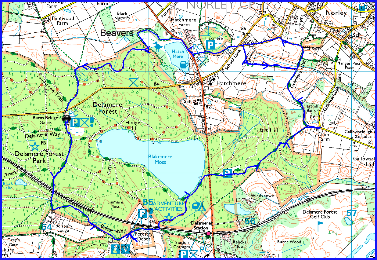 Postcard from Timperley: Friday 9 April 2021 - Delamere Forest