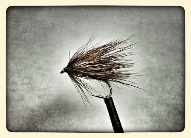 Hillend Dabbler: Hillend Sedgehog