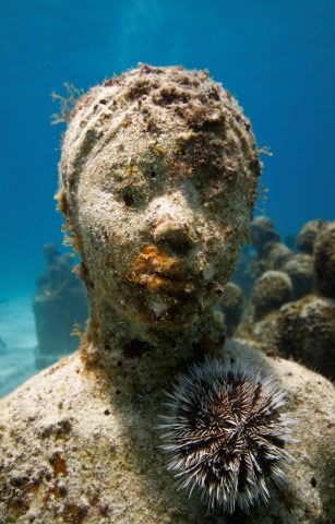 Leonora Draws: The Silent Evolution