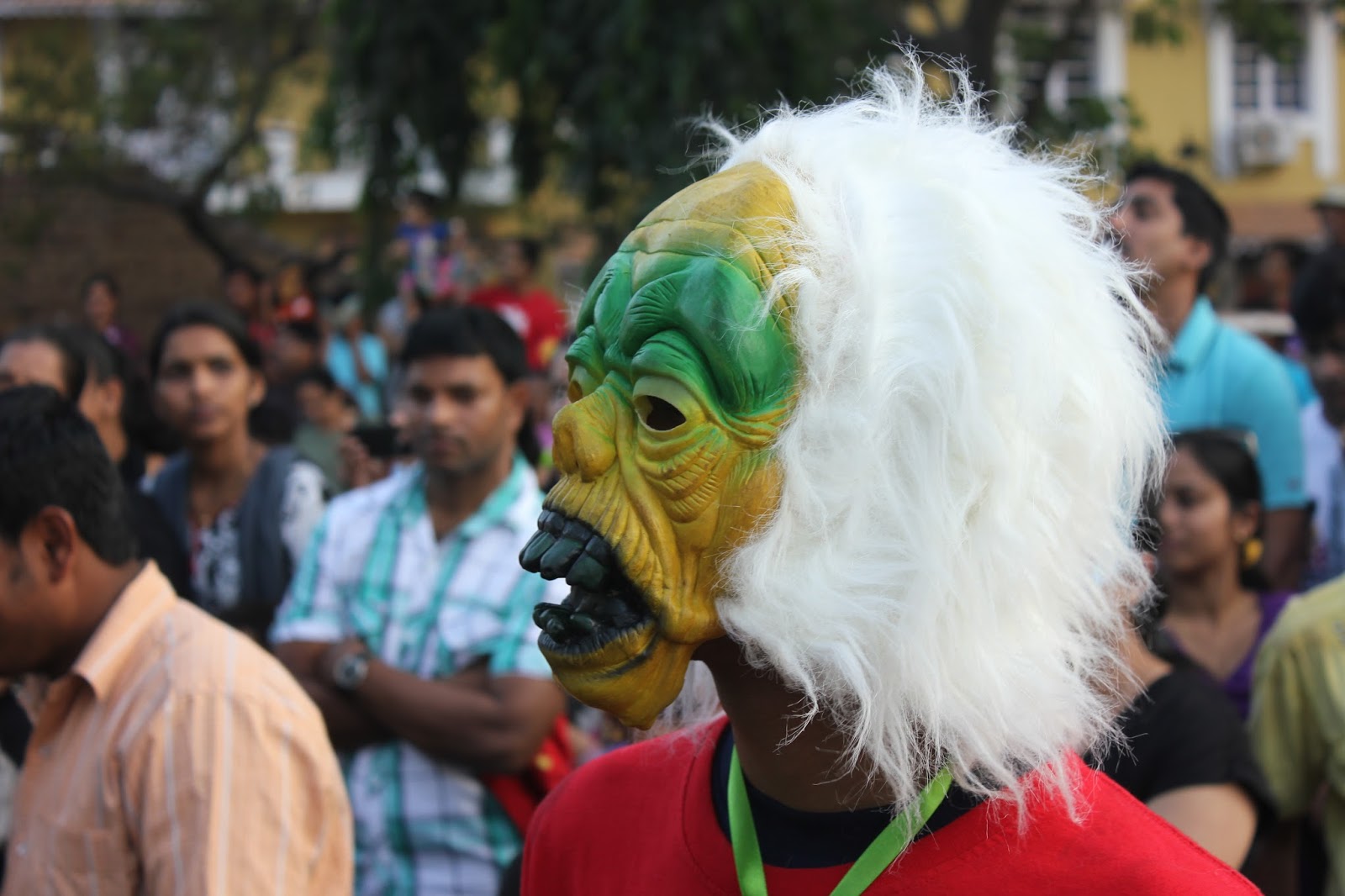 Ramble Diaries: Goa Carnival 2013