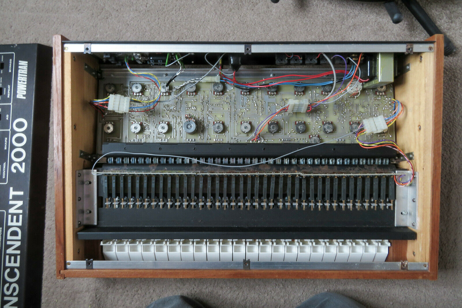 MATRIXSYNTH: Powertran Transcendent 2000 vintage analogue synth