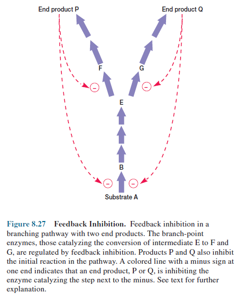 Microbiology Notes: Microbial Metabolism : Energy, Enzymes and Regulation