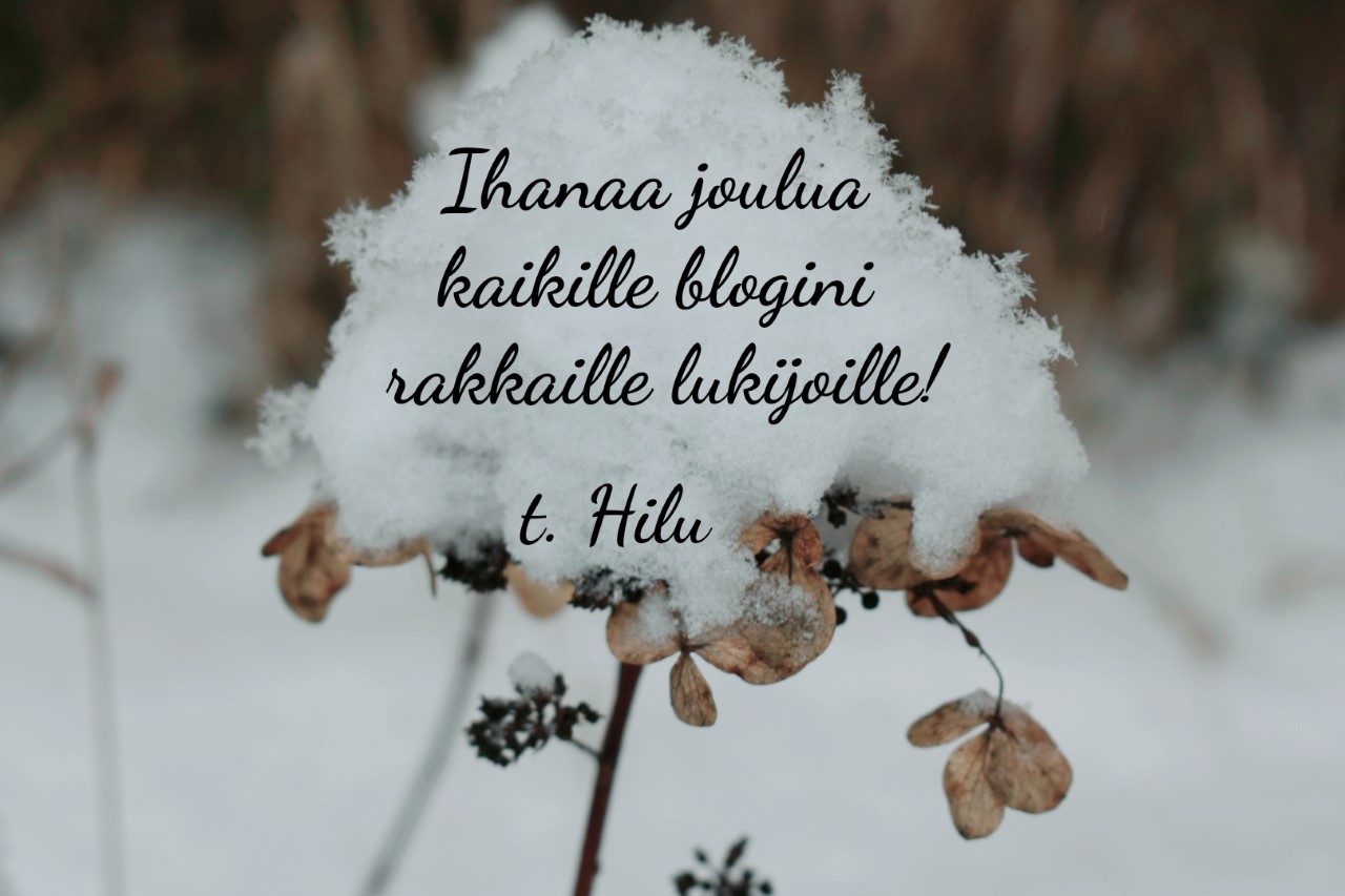 Maatiaiskanasen Elämää: Nyt toivotus hyvän joulun!