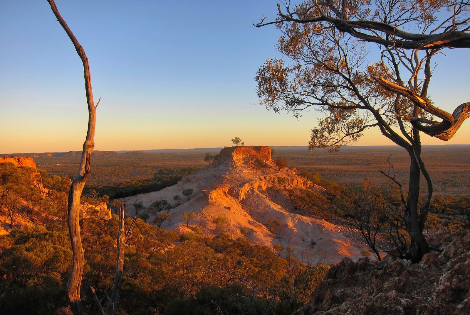 Bushtracker Travels RosnRoss: Towards Yaraka
