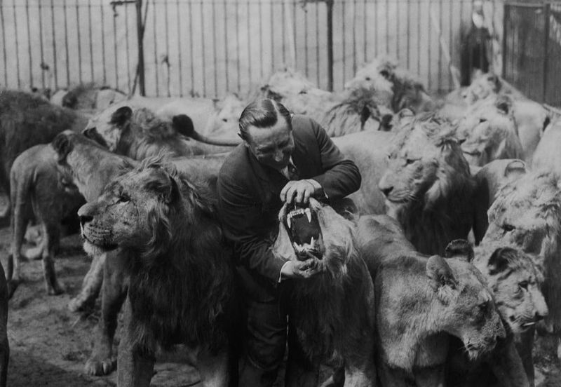 Fascinating Vintage Photos of the Felines in the ‘50s ~ Vintage Everyday