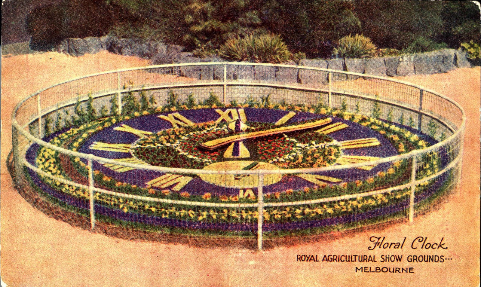 Victoria's Past - Rescued and Retold: Telling time with flowers ...