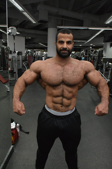 Muscle Lover: Egyptian bodybuilder Ahmed El Wardany - Gold's Gym 2017