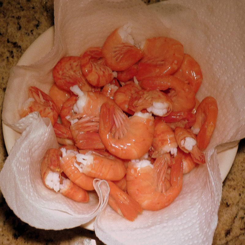 m/v WILD BLUE Cruising Blog: #3 The Inside Passage along BC's Coast