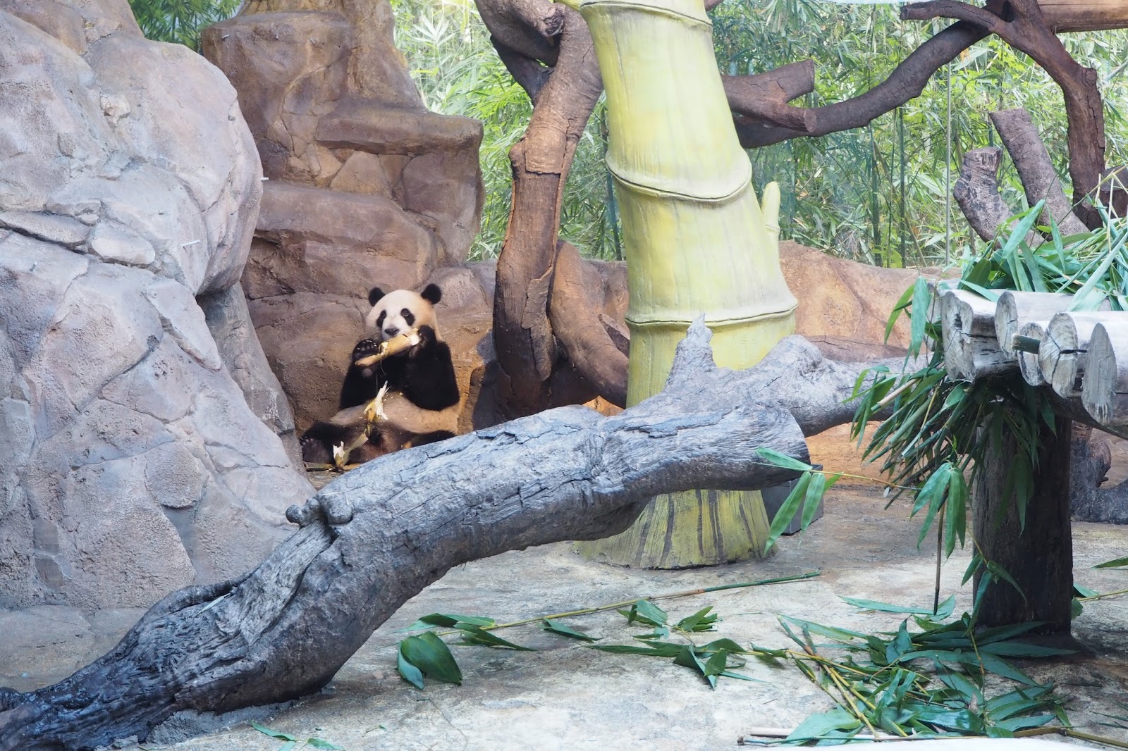 Kee Hua Chee Live!: AMBER CHIA BRINGS HER PARENTS CHIA HUN POY AND CHUA ...