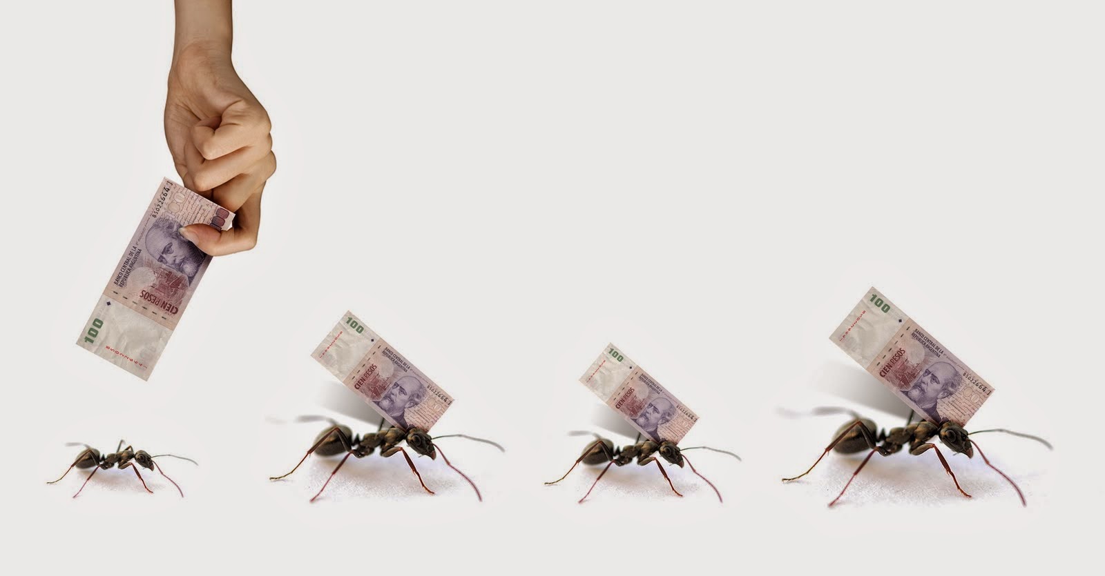 El robo hormiga. ~ MANAGEMENT- DVM