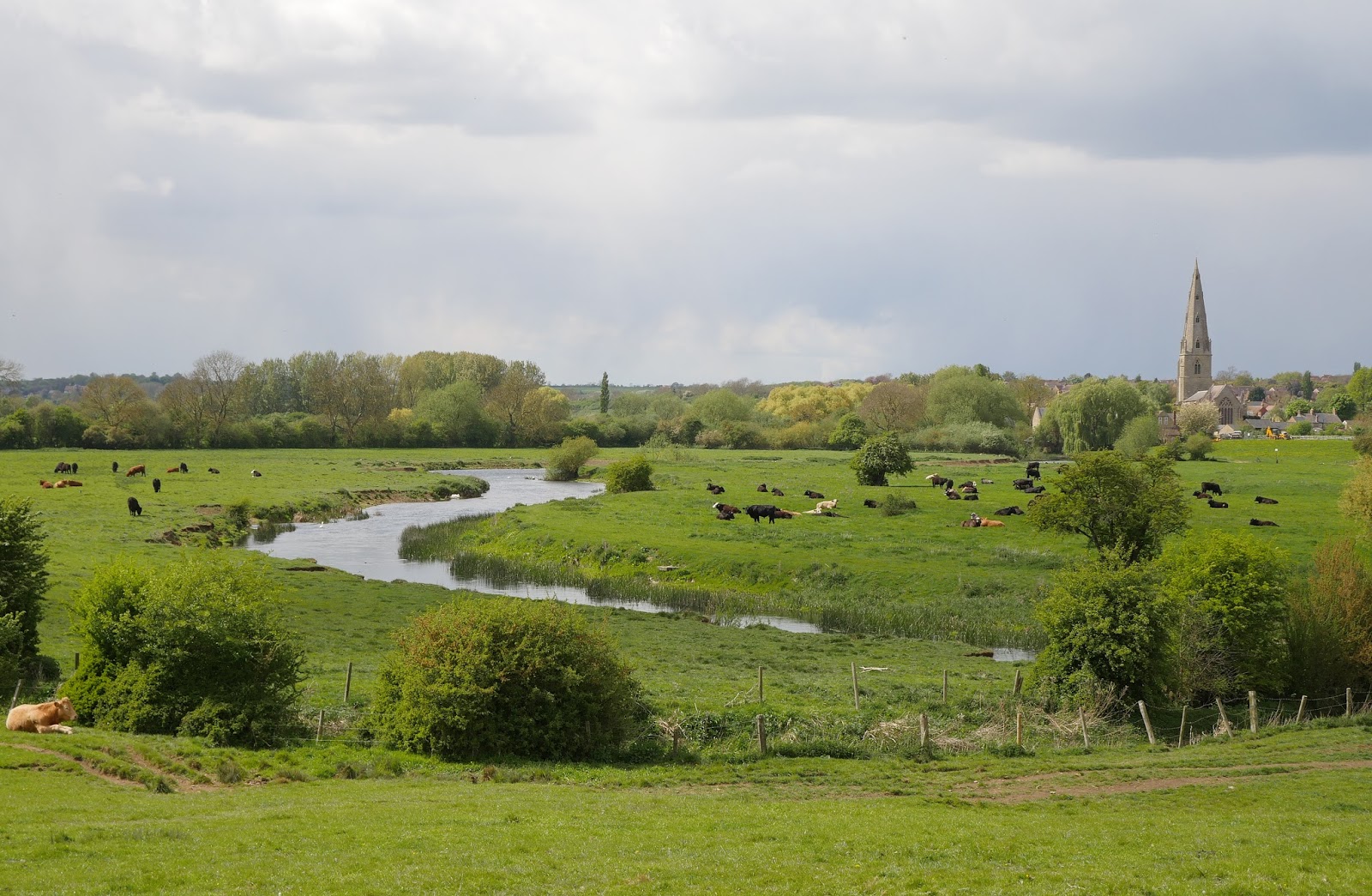 Walking in the country: Olney, Clifton Reynes and Emberton