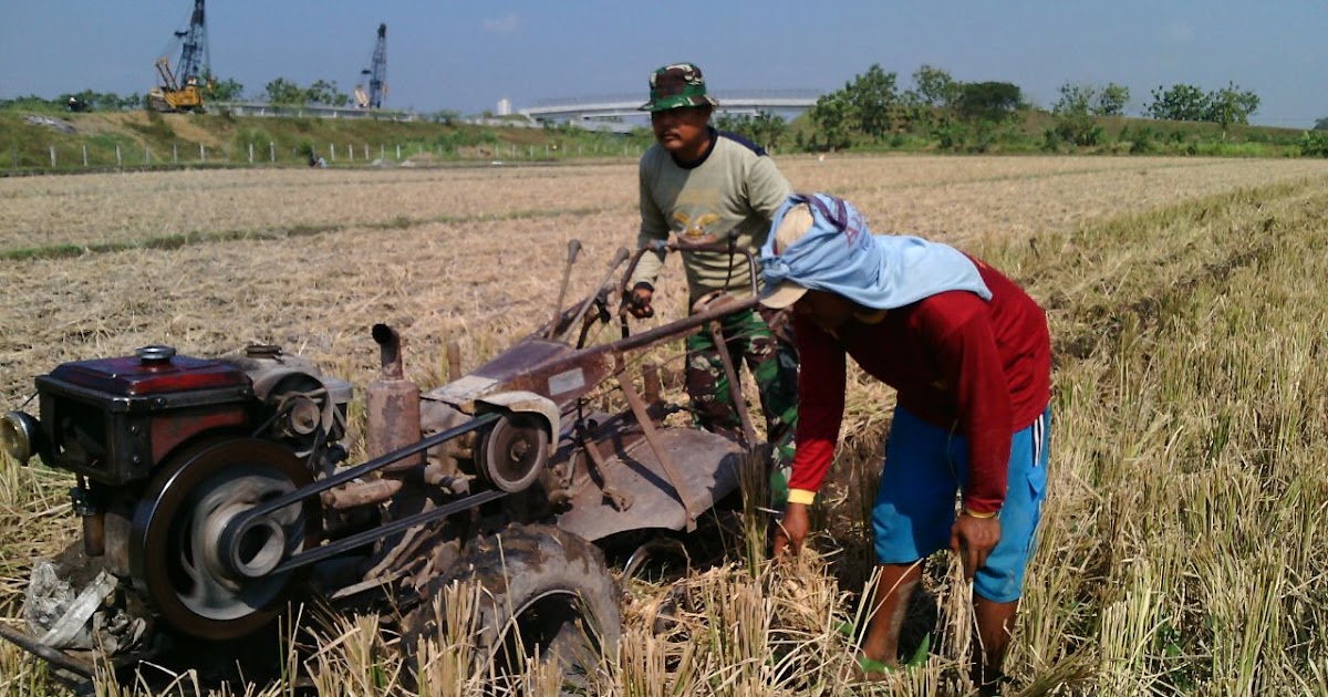 Ide 25+ Traktor BAJAK TANAH