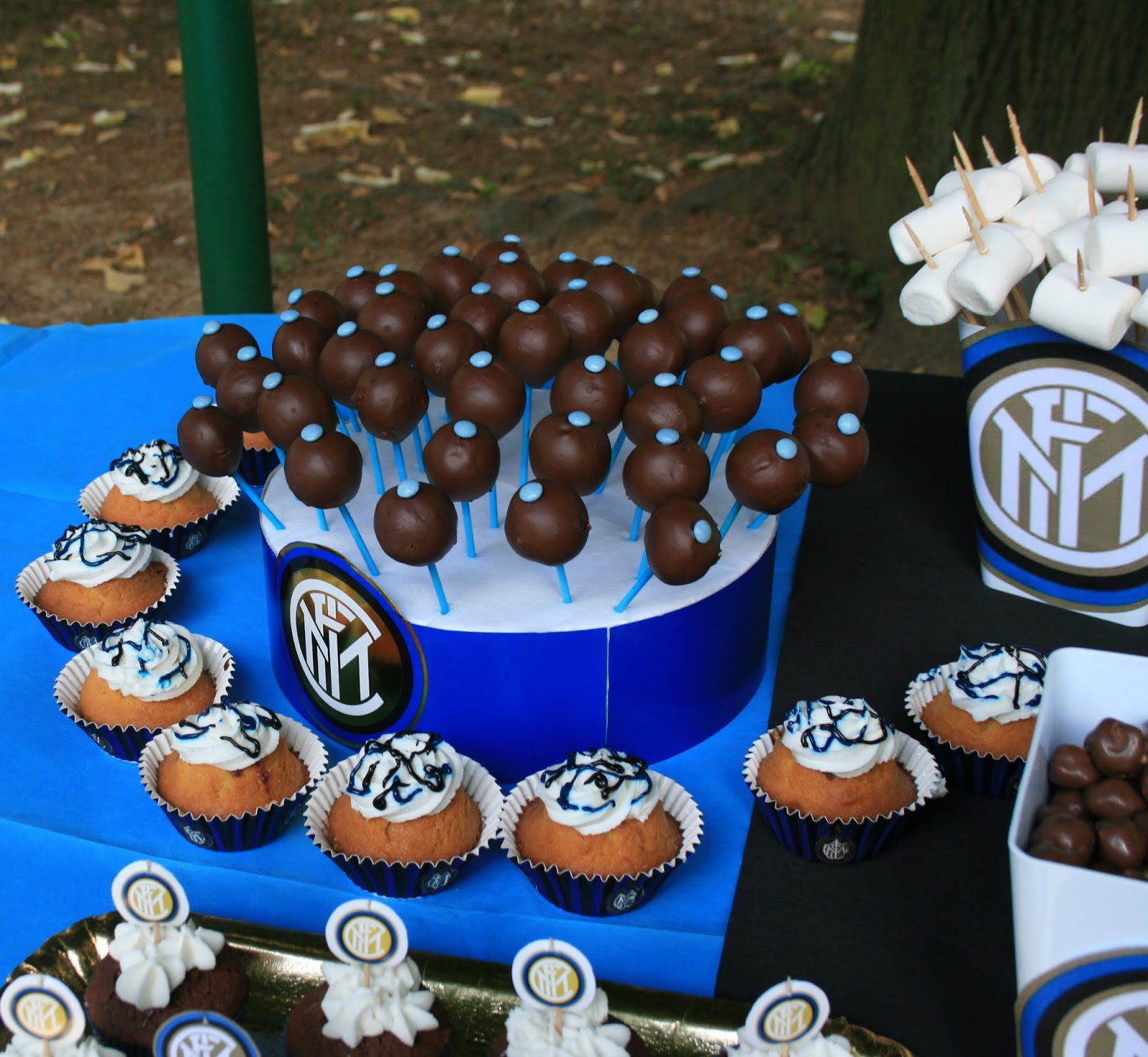 ROBIN'S CAKE: MATTIA HA DIECI ANNI - LA SUA FESTA A TEMA "INTER"