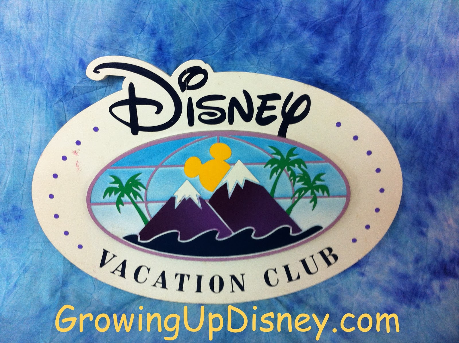 Growing Up Disney: Disney Vacation Club on eBay