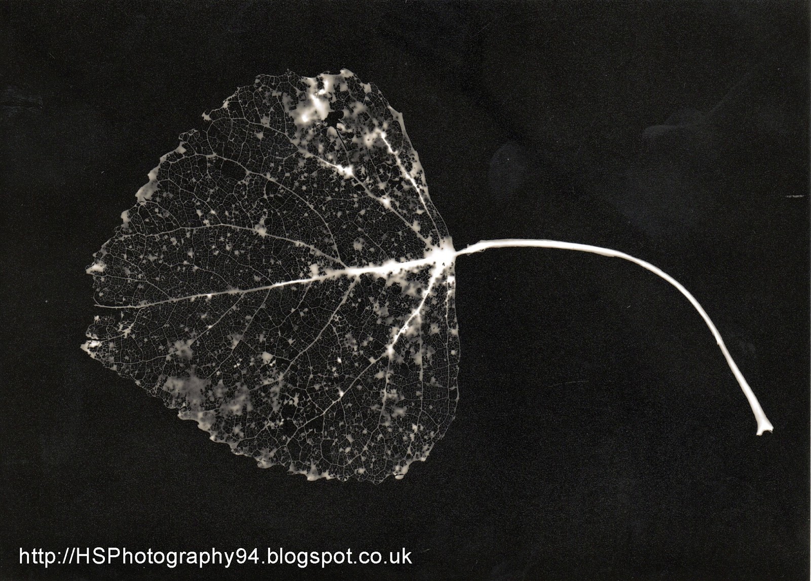 HSPhotography94: Photograms - The Photographers Eye