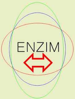 bioselpedia: Enzim, pengertian enzim, cara kerja enzim
