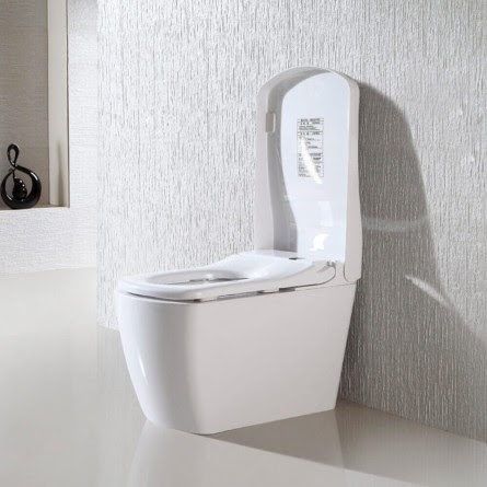 DUSCHOLUX SPAIN MAMPARAS DE BAÑO A MEDIDA: ¿Que tipos de inodoro puedes ...