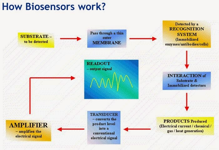 Biomonitoring and detection methods of a specific pollution