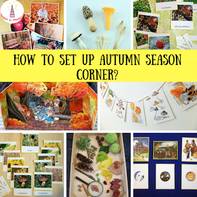 How to set up autumn season corner? - I Believe in Montessori