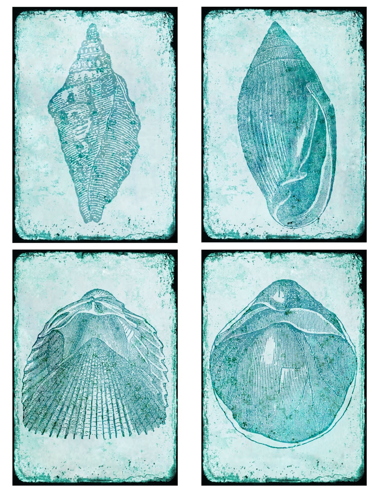 The Graphics Monarch: Free Printable Sea Shell Collage Sheet Background ...