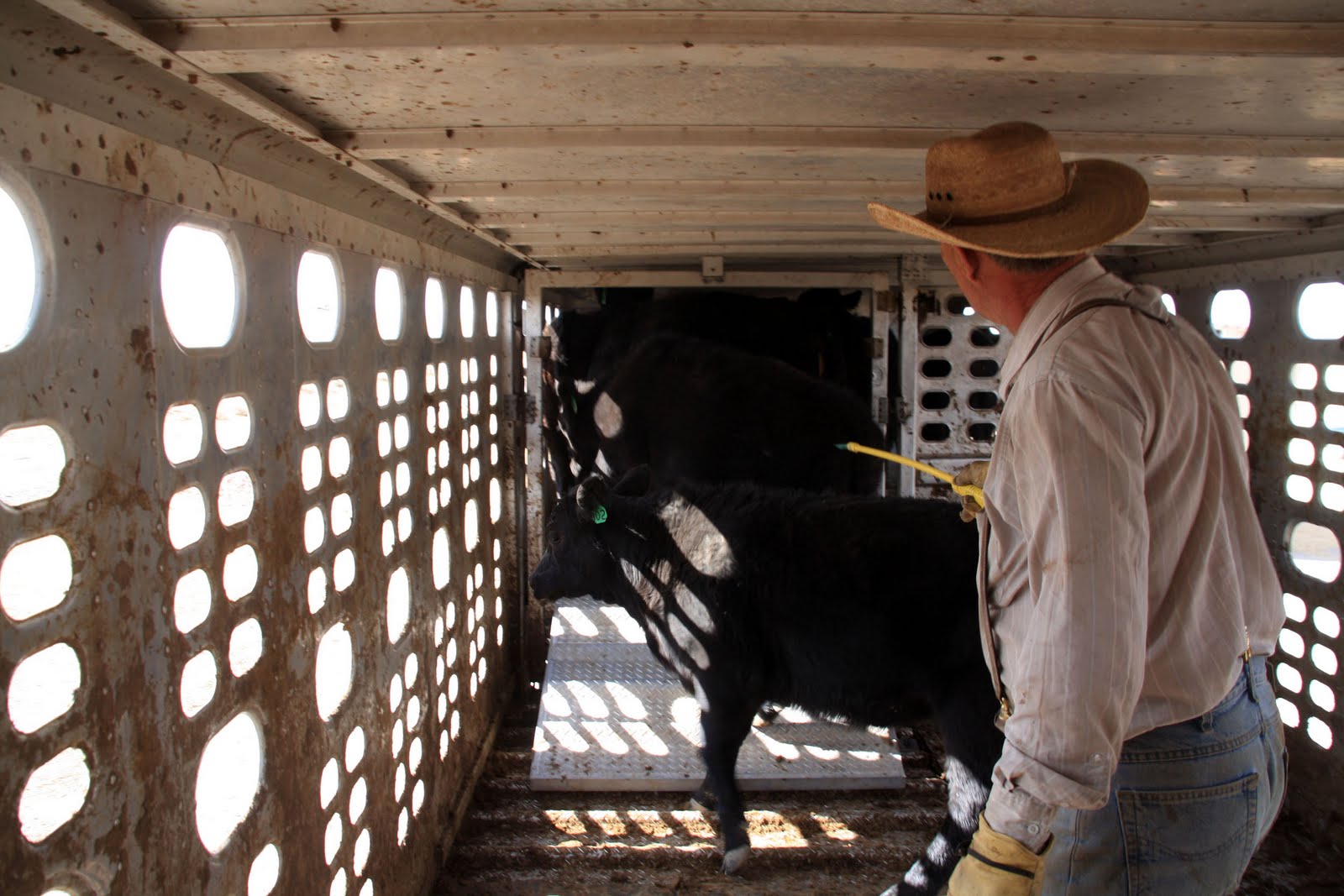 Double H Photography: Loading a Cattlepot