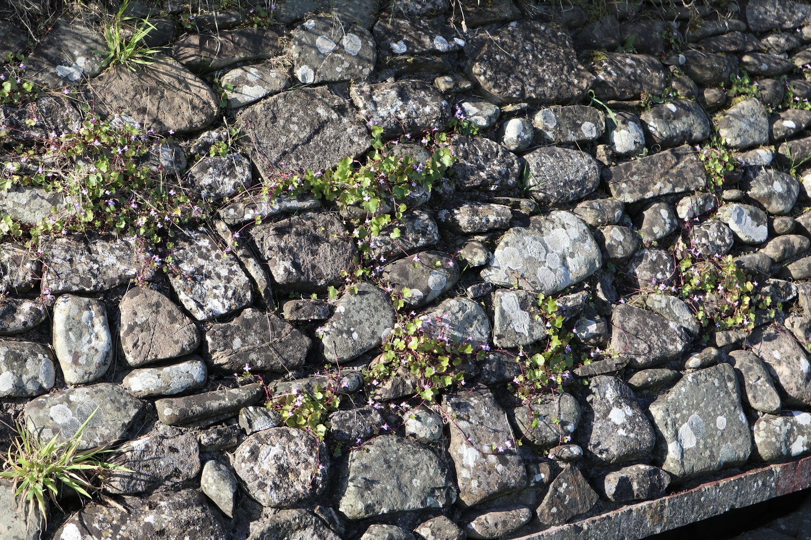 Snodge's subjective travel blog: September 2019