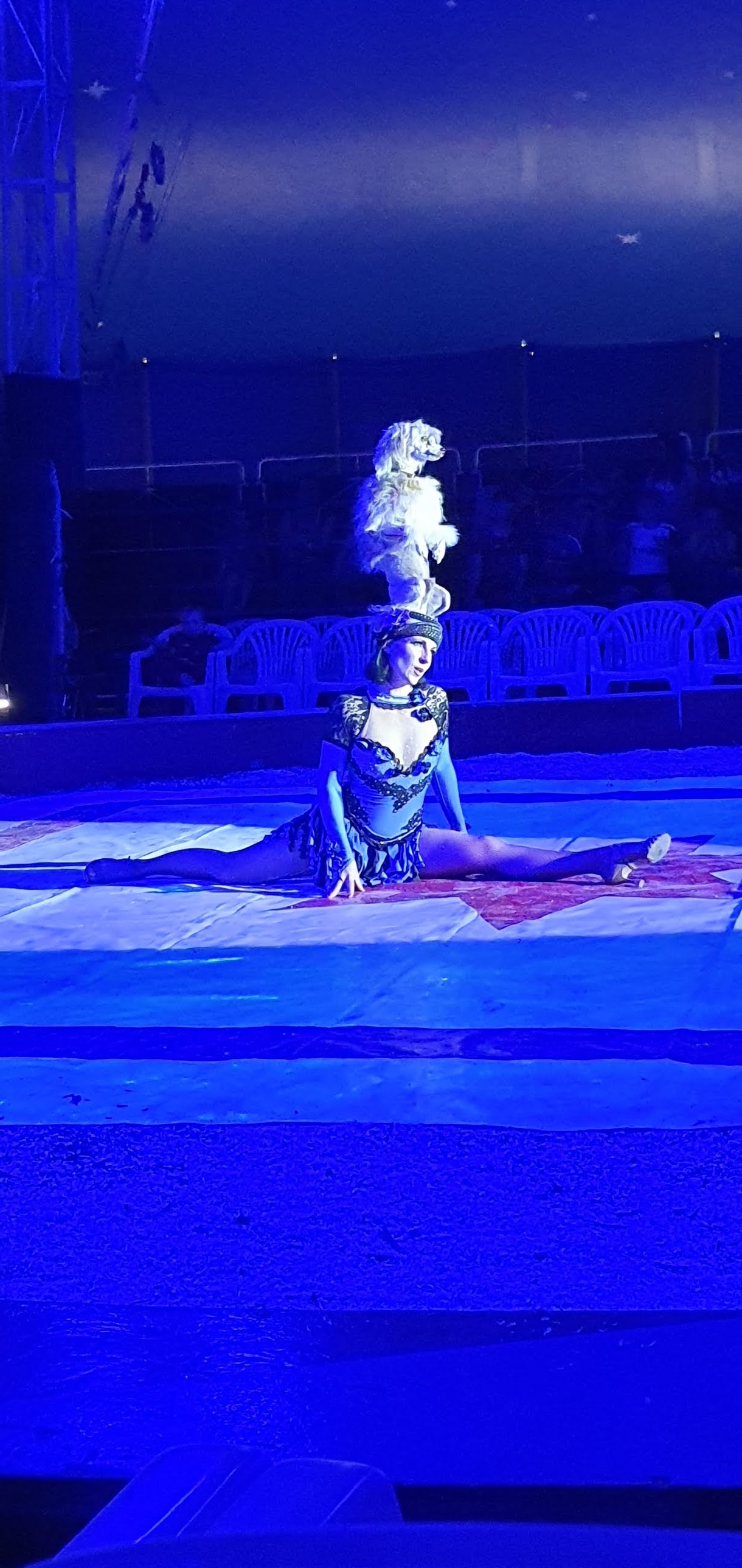 GALLERIE FOTOGRAFICHE: Circus Maramber (CH) | SCXS