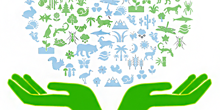 Biodiversidad Conservación De La Biodiversidad