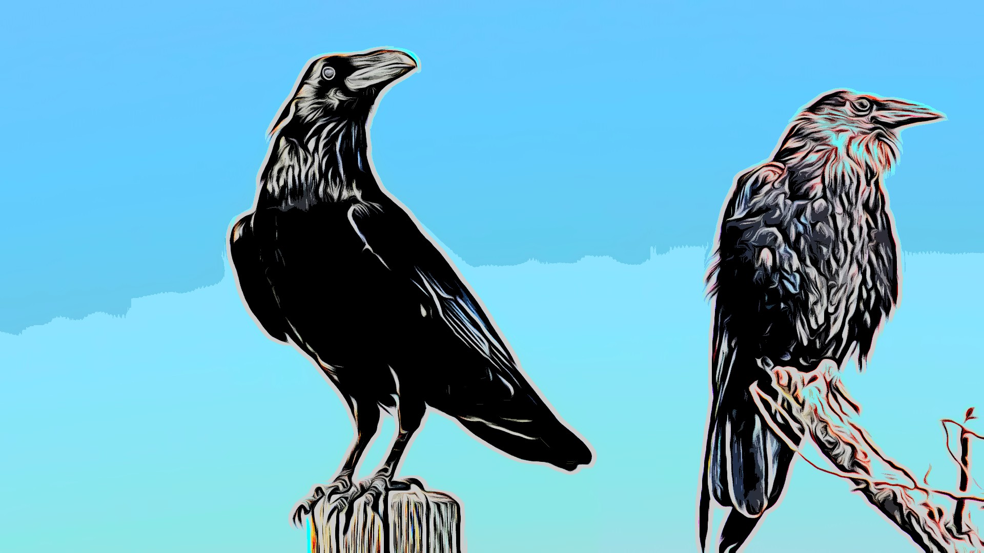 What is a crow court?