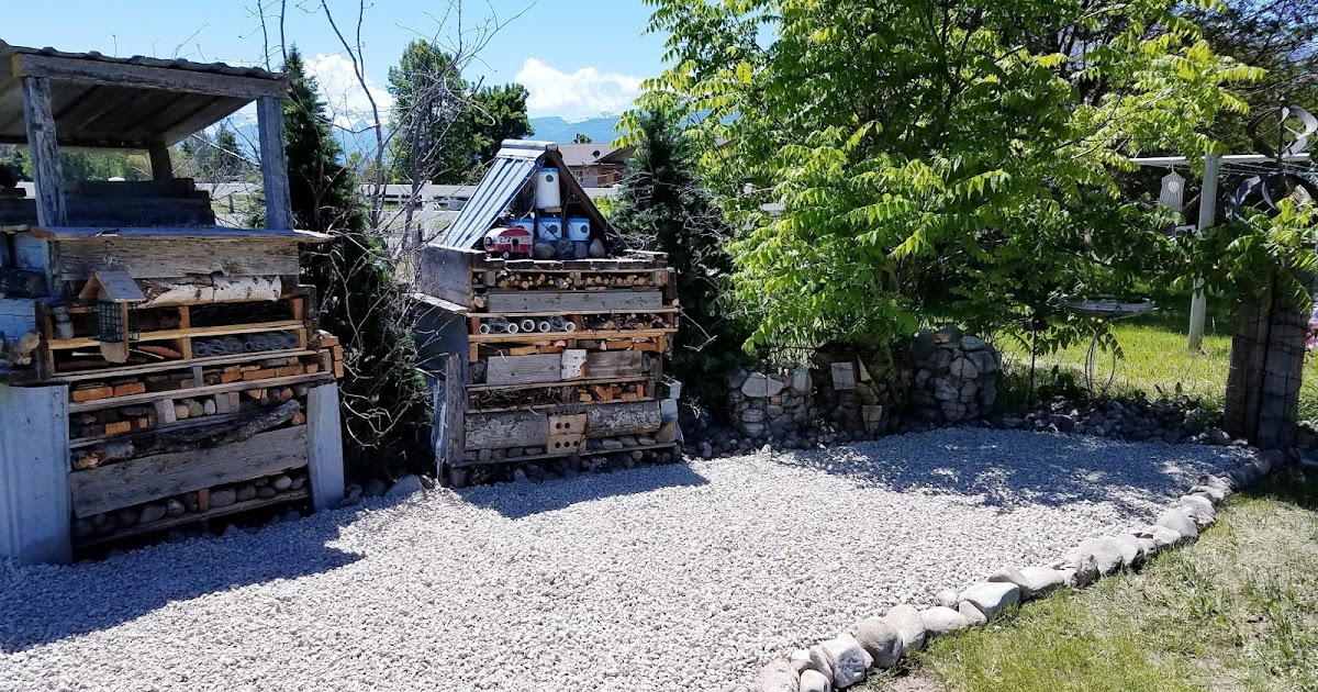 How To Make A Bird Habitat From Recycled repurposed Items Scratch how-to-make-a-bird-habitat-from-recycled-repurposed-items-scratch