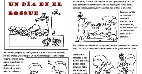 EL MUNDO MÁGICO DE LA LECTURA : Lectura: Un día en el bosque