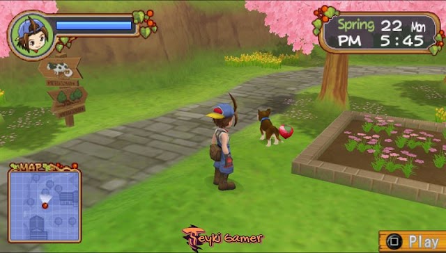 Power Berry - Harvest Moon Hero of Leaf Valley