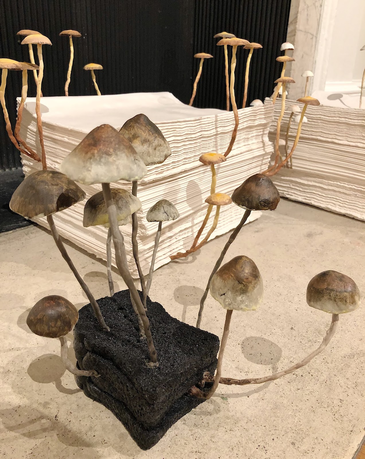 The Art of Mushrooms - Somerset House's Rooms Filled with 'Shrooms