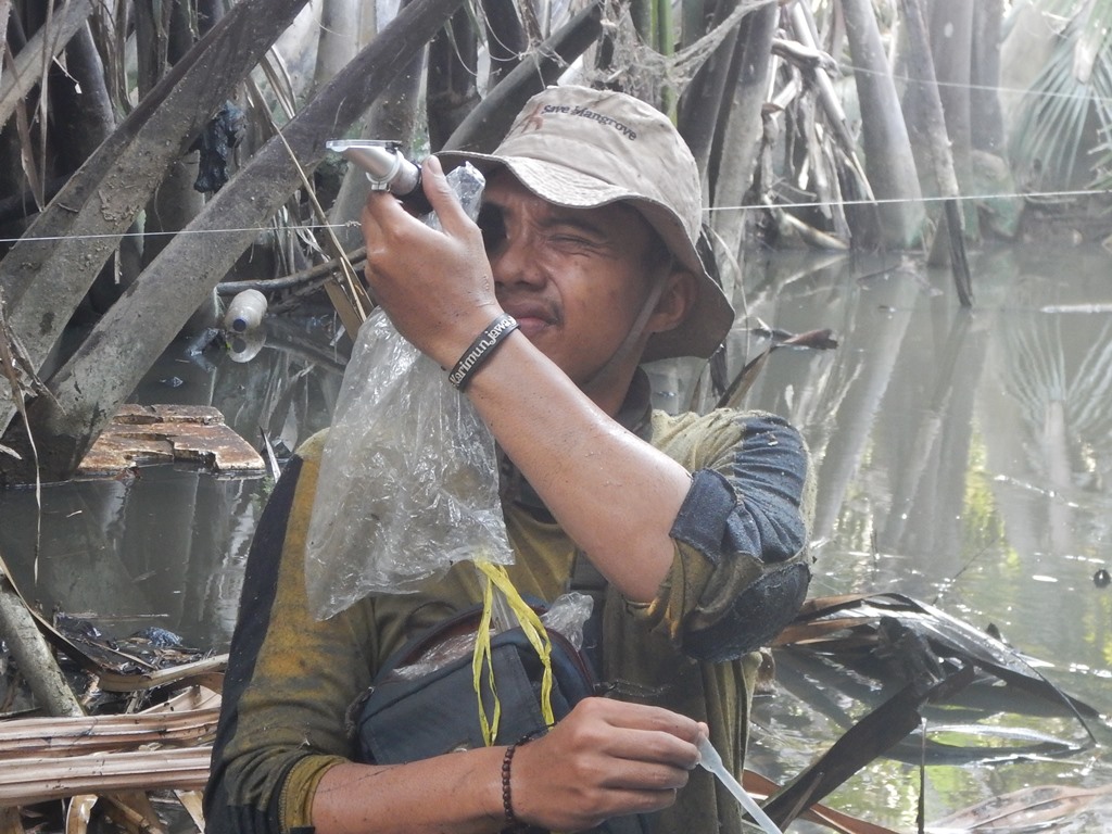 Diteliti KeSEMaT, Begini Kondisi Terkini Mangrove di Suaka Margasatwa Muara Angke, Jakarta ...