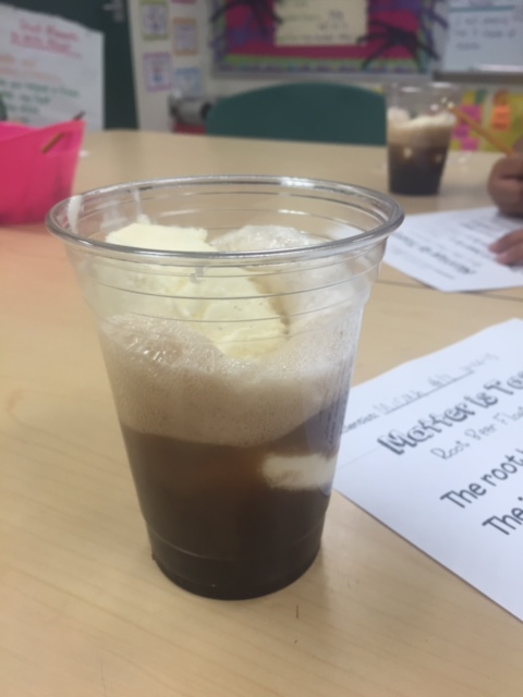 Second Grade Surfers: States of Matter... ROOT BEER FLOATS!