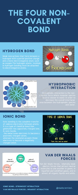 Mad Scientist Biochemistry: INFOGRAPHIC ON FOUR NON COVALENT INTERACTION