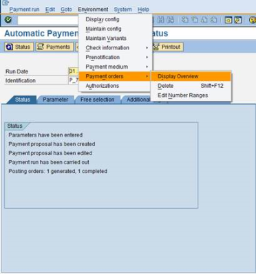 SAP FICO Central: Payment Order Configuration