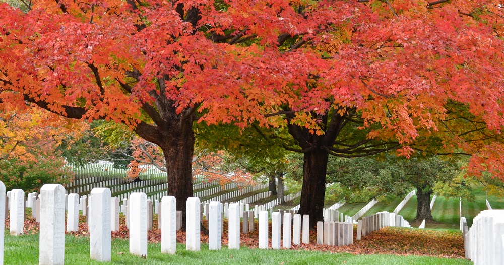 Family Roots and Branches: US National Cemetery Interment Control Forms