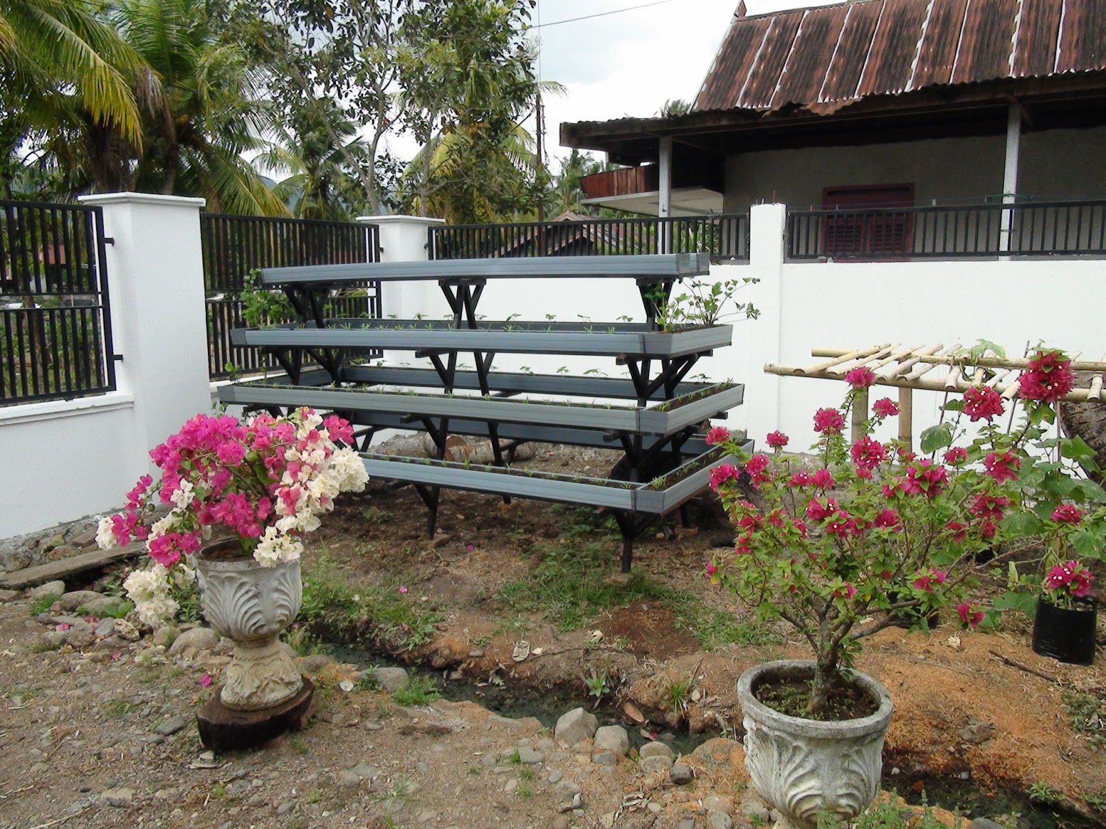 Budidaya dan Agronimis Pertanian: Optimalisasi Pemanfaatan Lahan Pekarangan