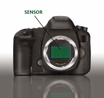 Everything About Photography: Sensor of Digital Camera