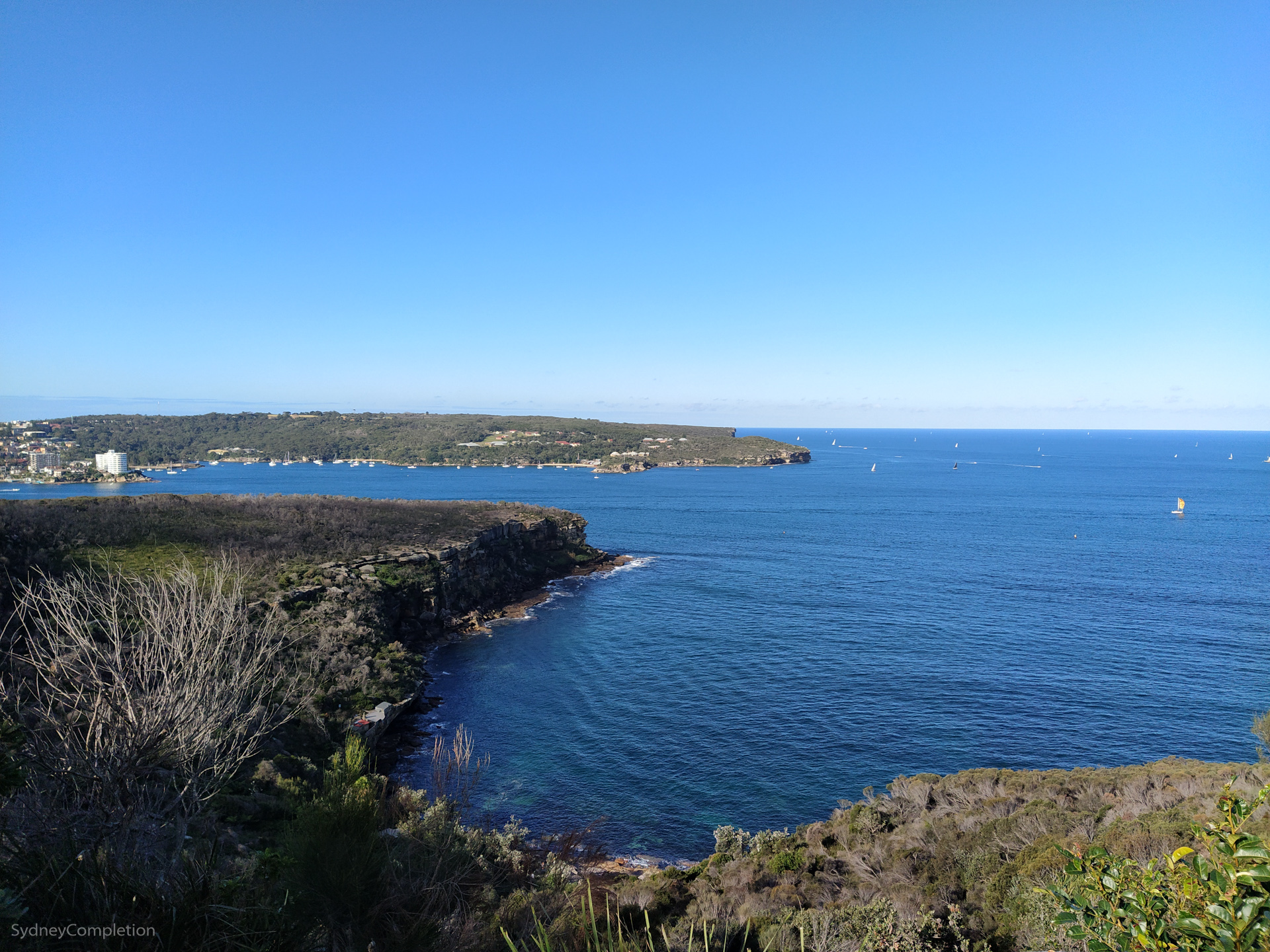 Highs and Lows: Balgowlah Heights and Balgowlah - Completing Sydney