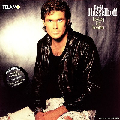 Mainstream Music Madness: David Hasselhoff - Discography