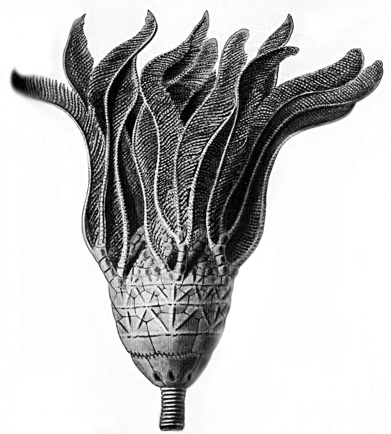 Louisville Fossils and Beyond: 2021