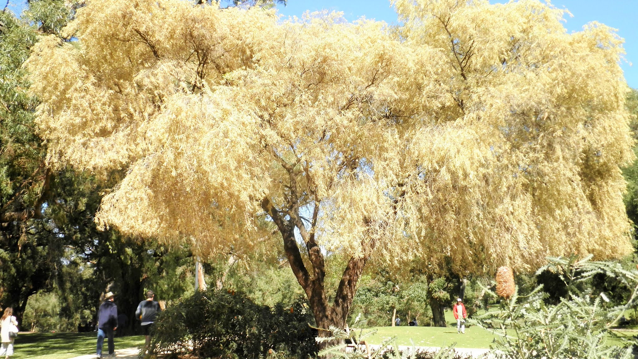 Backpacking travel & Outdoor adventures by Ching Neng Bin: 2012 ...