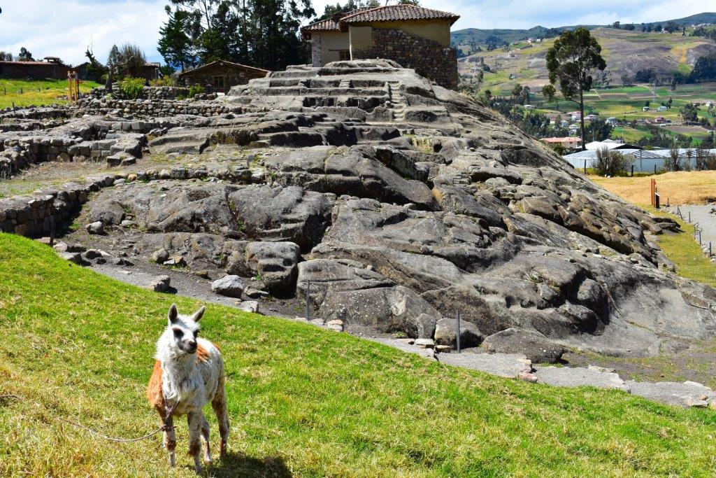 .: Ecuador, de la selva amazónica a la costa del Pacifico.