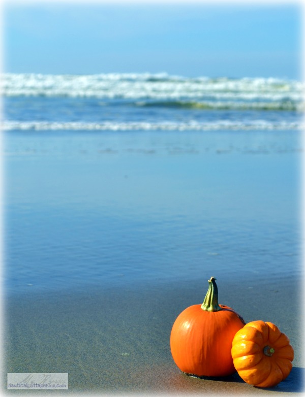Something wicKED this way comes....: Pumpkins on Vacation.