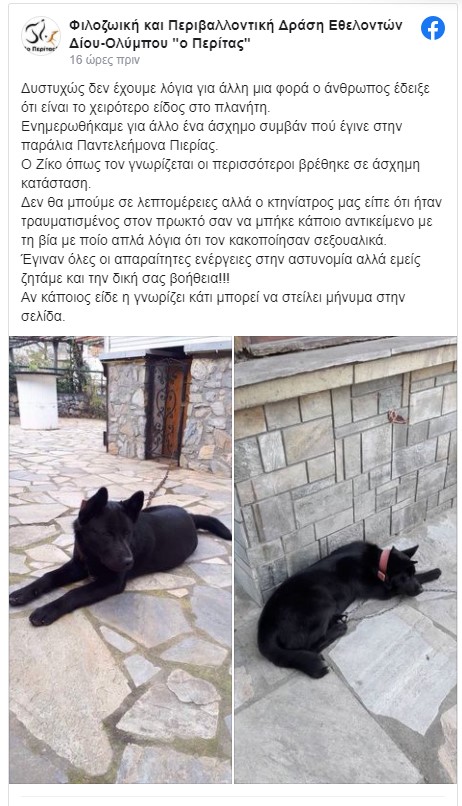 ΛΕΥΤΕΡΙΑ: ΚΤΗΝΩΔΙΑ: ΠΟΙΟΣ Ή ΠΟΙΟΙ ΚΑΚΟΠΟΙΗΣΑΝ ΣΕΞΟΥΑΛΙΚΑ ΣΚΥΛΟ ΣΤΗΝ ...