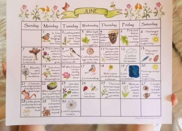 EDU 05.9 PEDAGOGIC CONTENT KNOWLEDGE ANALYSIS – NATURAL SCIENCE ONLINE ...